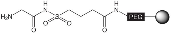 H-Gly-Sulfamylbutyryl NovaSyn® TG resin | 856068